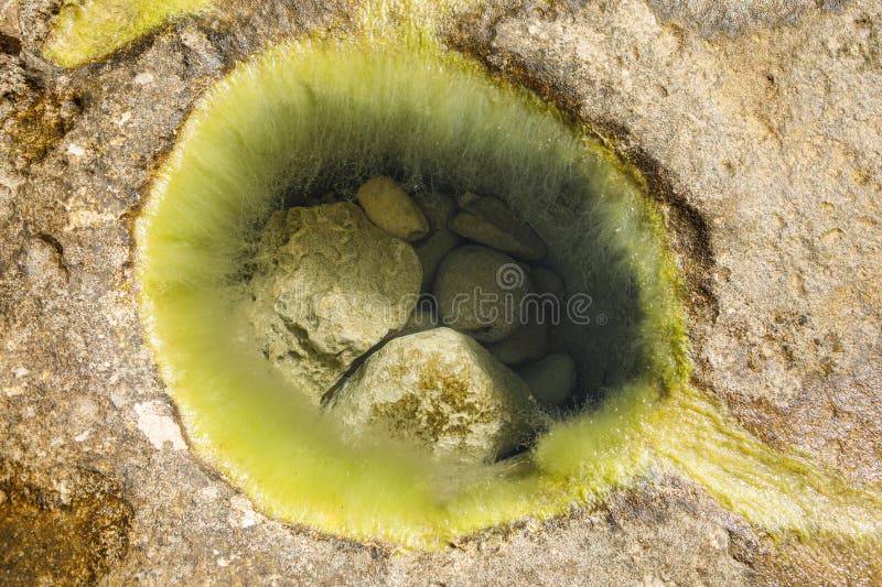Algae-Filled Rock Pool with Stones and Green Slime in Malta Stock Image ...