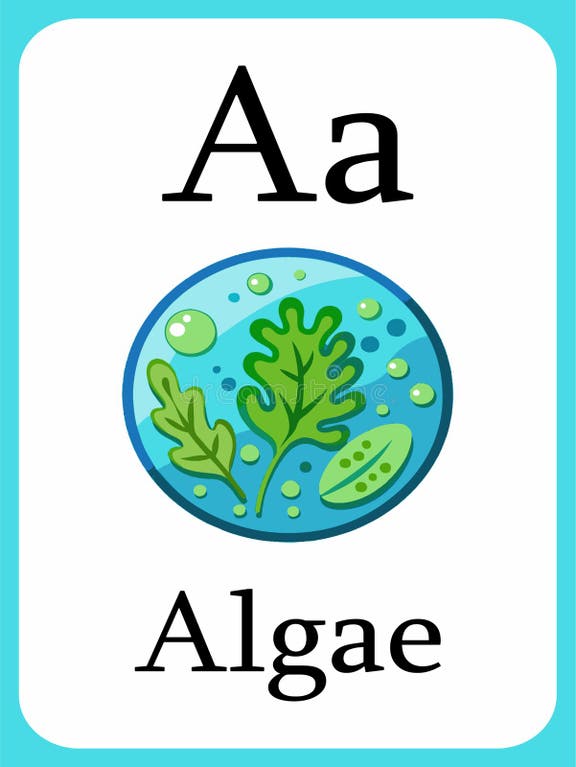 Algae Flashcard Education for Small Kids Stock Illustration ...