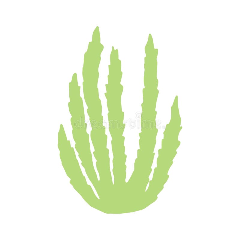 Algae Green Isolated Silhouette. Vector Sea Plant. Stock Vector ...