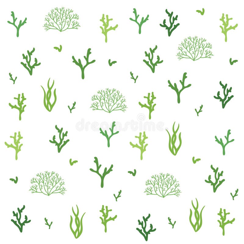Algae Green Pattern Seamless Vector Stock Vector - Illustration of ...