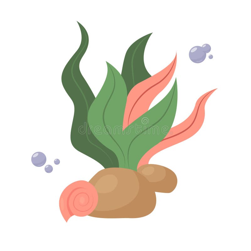 Algae Growing on Astone on Sea or Ocean Floor, Air Bubbles Around Stock ...