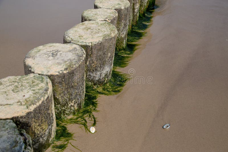Algae on Groynes in the Baltic Sea Stock Image - Image of color ...