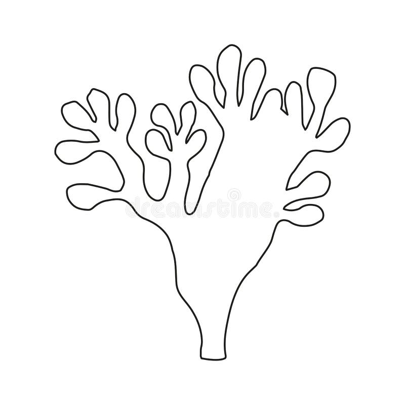 Algae hand drawing vector stock vector. Illustration of tropical - 89917606