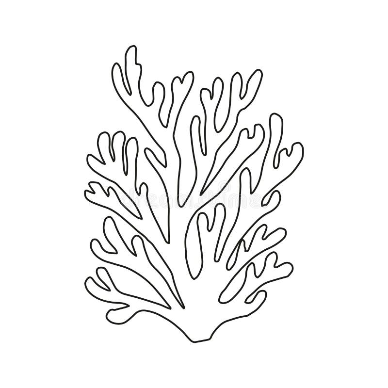 Algae hand drawing vector stock vector. Illustration of twig - 89917779