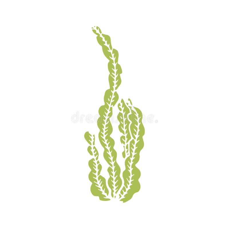 Algae hand drawing vector stock vector. Illustration of green - 90238737