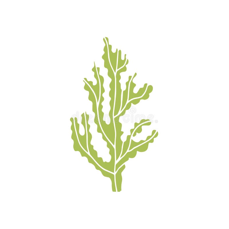 Algae hand drawing vector stock vector. Illustration of nature - 90239331