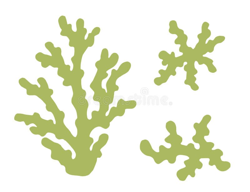 Algae Isolated on White Background Vector Illustration Stock Vector ...