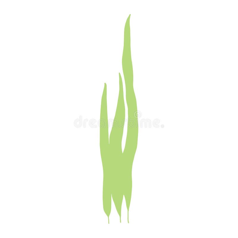 Algae Leaves. Simple Sketch Vector Isolated. Black Stock Vector ...