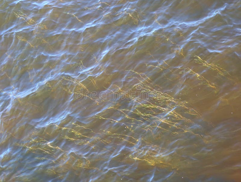 Brown water in river stock photo. Image of pond, background - 42674372