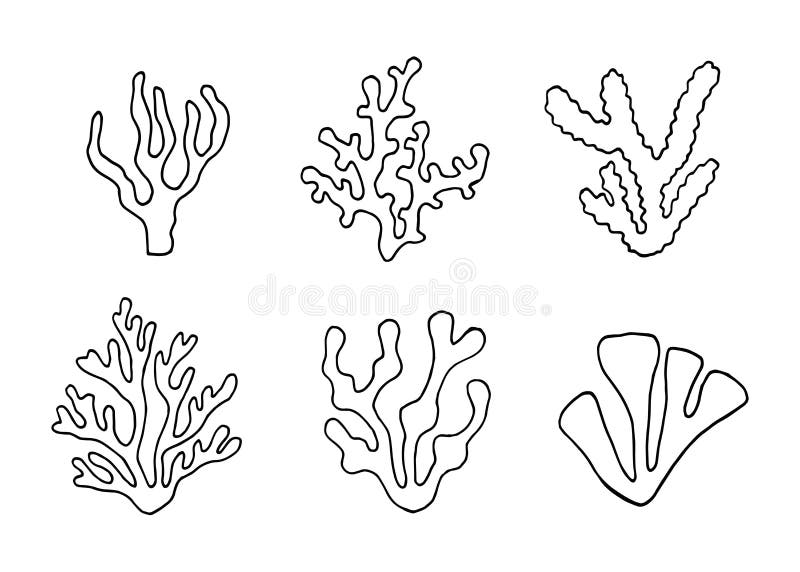 Algae Outline Isolated Plants. Linear Drawing Stock Vector ...