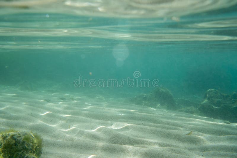 Algae Rock Underwater Green Reflection Stock Photo - Image of liquid ...