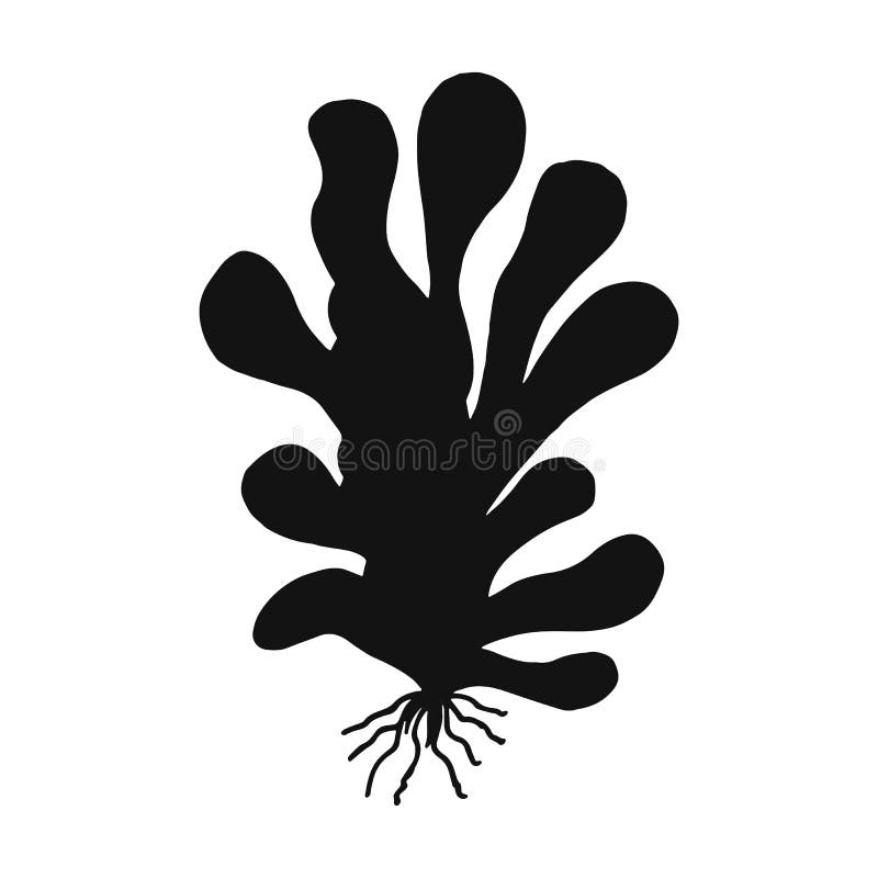 Algae Silhouette. Vector Illustration Stock Vector - Illustration of ...