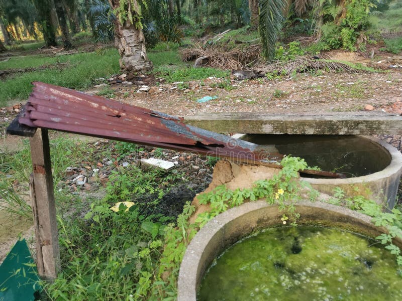 Algae Sludge Floating on the Overflow Concrete Well Ring Surface Stock ...