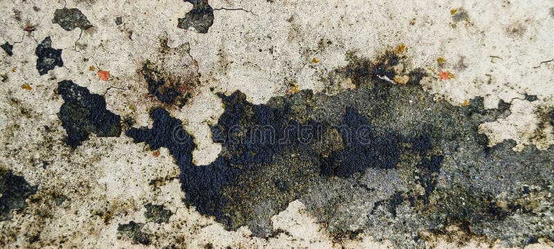Algae Stains on the Cement Wall. Stock Photo - Image of dirty ...