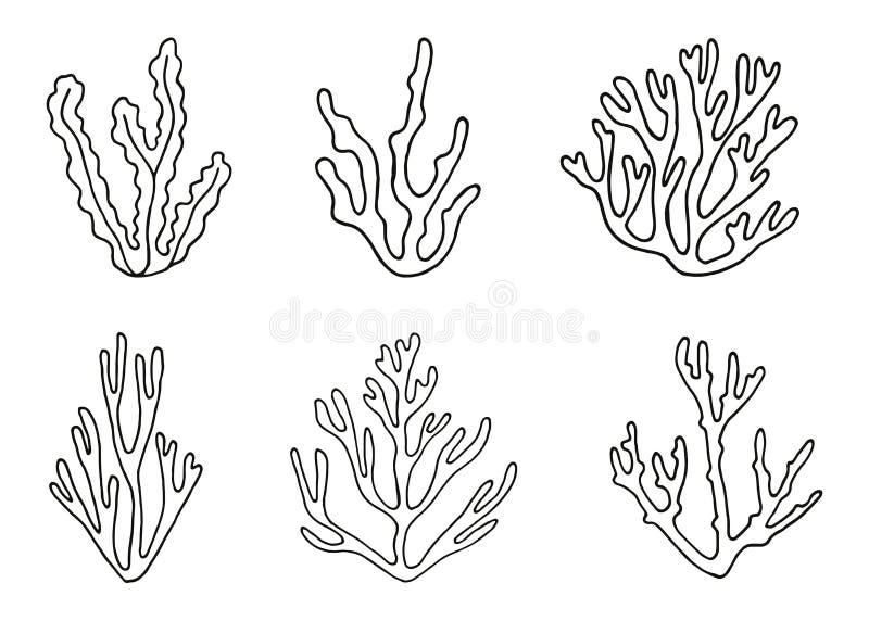 Algae Vector Sketch. Hand-drawing Isolated Stock Vector - Illustration ...