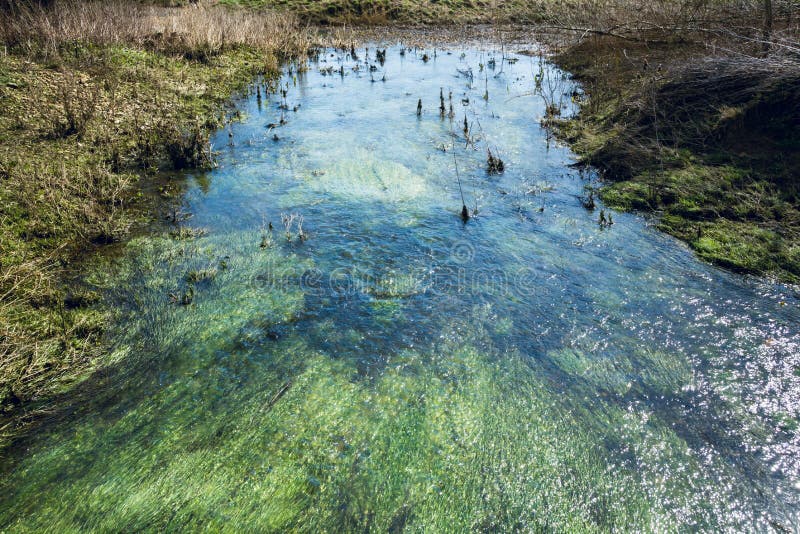 Algae and Waterweed Under the Flowing Shallow Stream - 1 Stock Photo ...