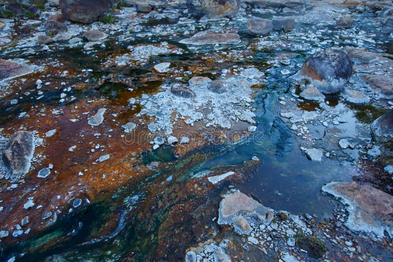 Algas termófilas foto de archivo. Imagen de rojo, horizontal - 64629824