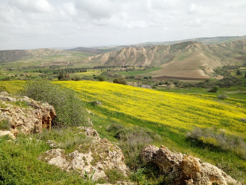 Spring time in algeria stock image. Image of places - 114032597