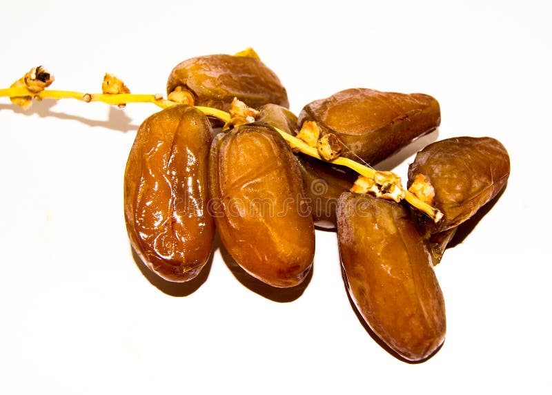 Algerian dates fruit stock image. Image of leaf, meal - 251982107
