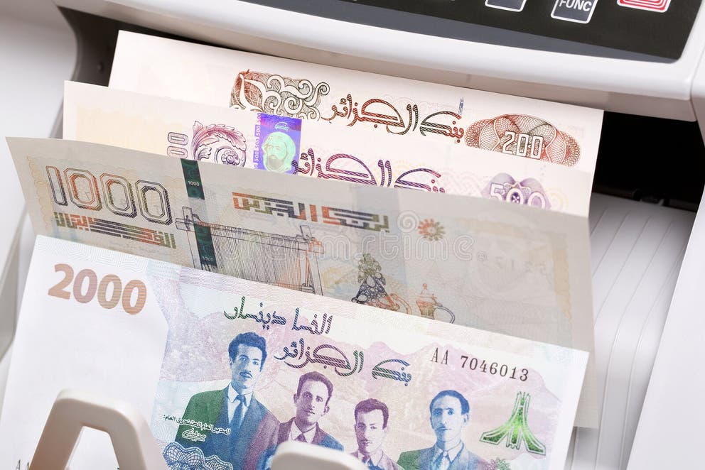 Algerian Dinar in a Counting Machine Stock Photo - Image of dinar ...