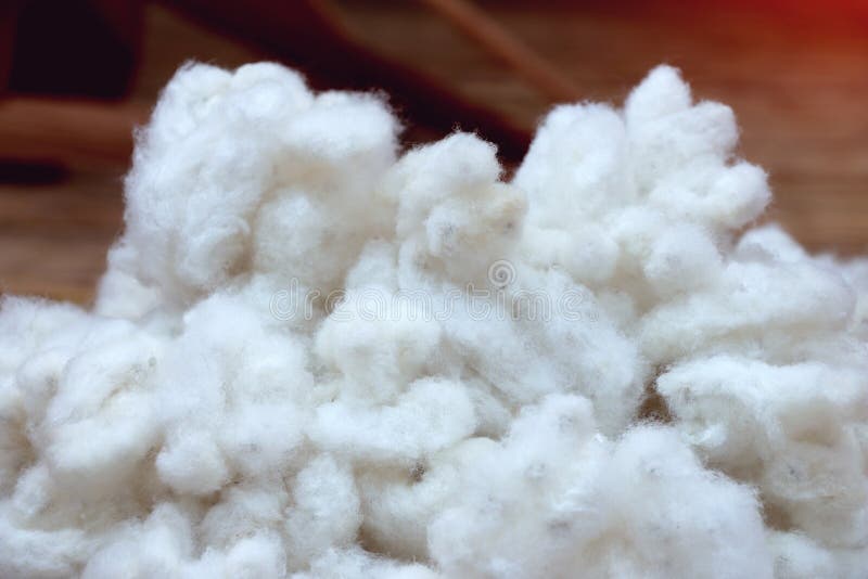 Algodón Blanco Usado Como Fibra De La Materia Textil Imagen de archivo ...