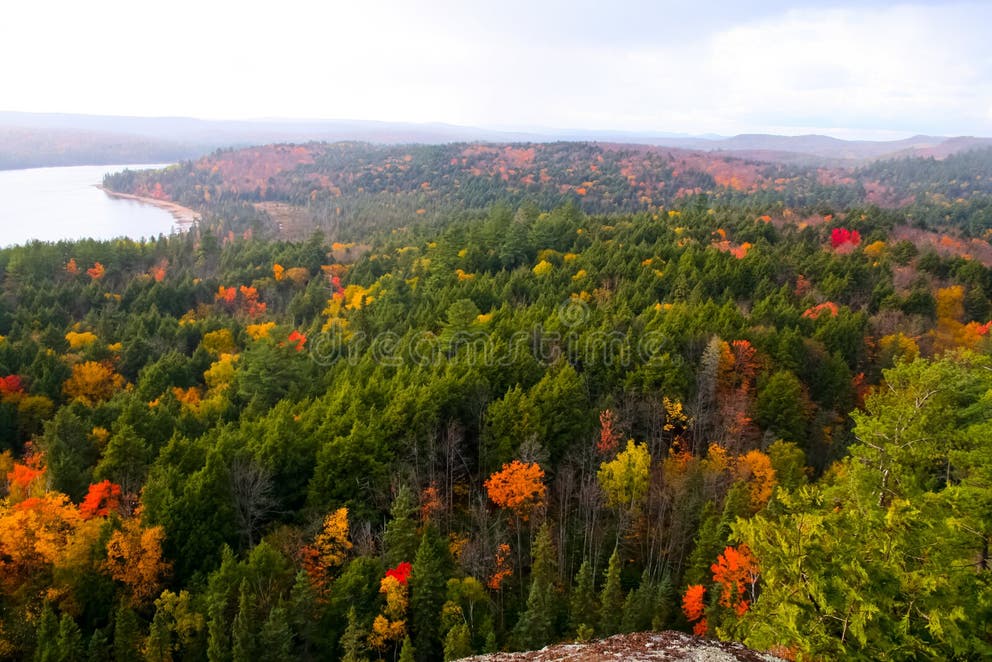 Algonquin Park Autumn Colors Stock Photo - Image of canada, autumn ...