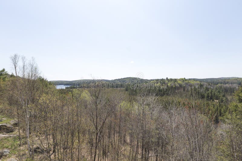 Algonquin Park, Ontario - Canada in Spring Stock Image - Image of ...