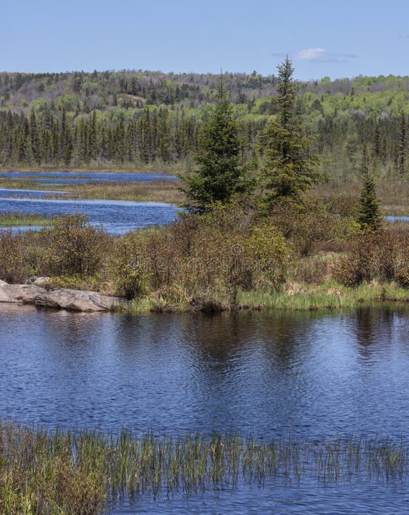 Spring Scenery in Algonquin Park Ontario Stock Photo - Image of ...