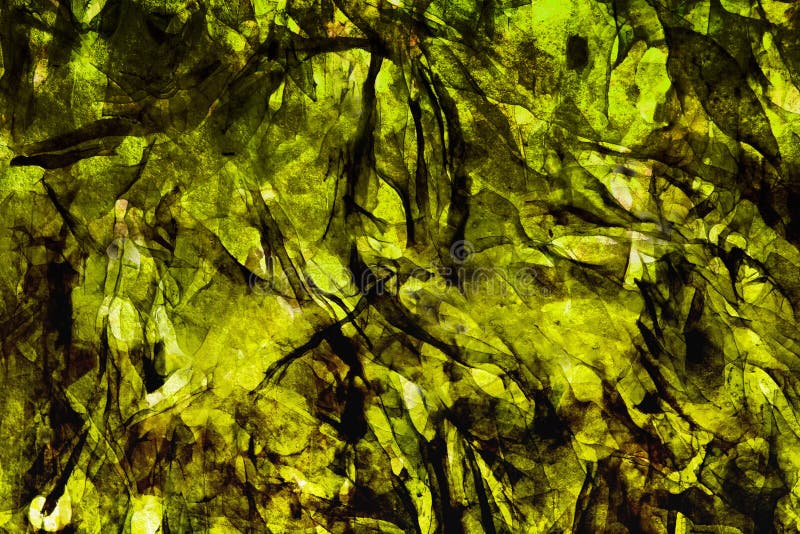 Algue image stock. Image du légume, papier, rôti, comestible - 6886405