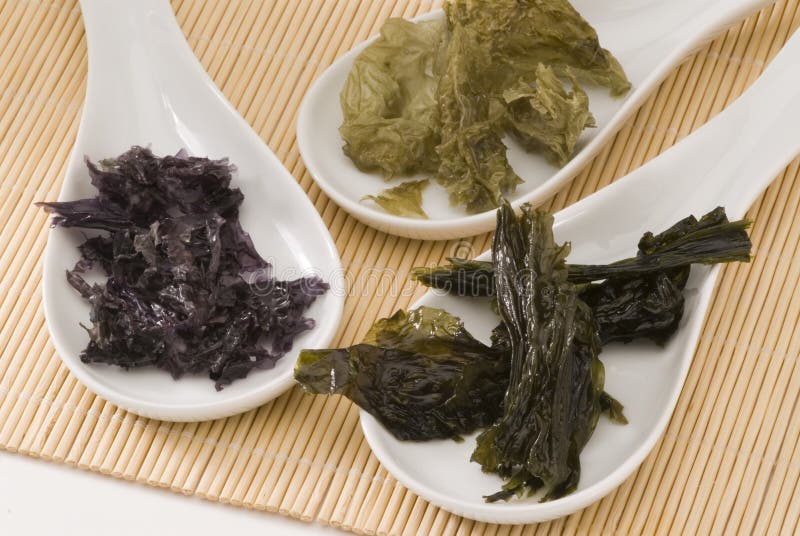 Algue comestible. photo stock. Image du cuisine, légumes - 14197184