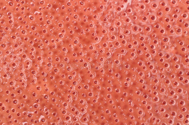 Algues Rouges De Rhodophyta Dans Quintana Roo Mexique Photo stock ...