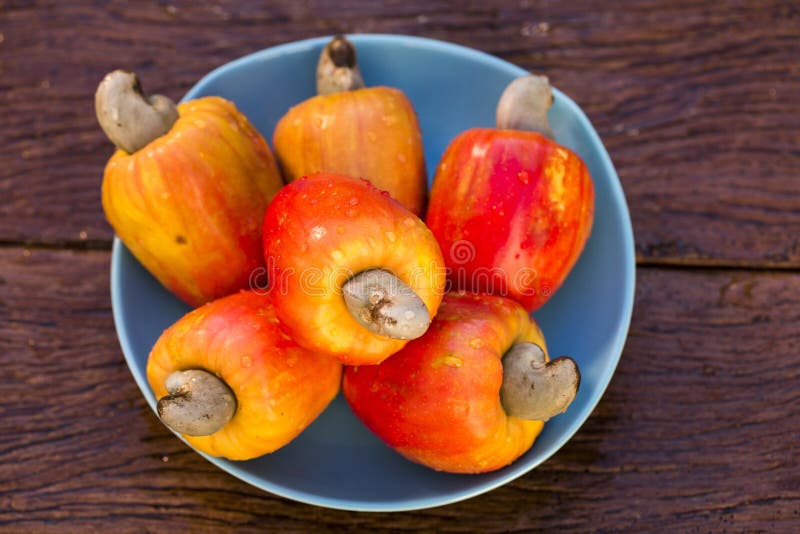 Fruto Do Caju De Caju Do Brasileiro Foto de Stock - Imagem de ...