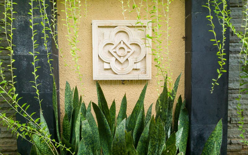 Algumas Plantas Rastejantes Sobre a Parede E Plantas De Sansivera Foto ...