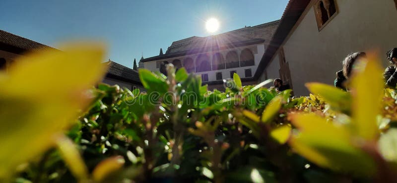 The Alhambra editorial stock photo. Image of leaf, nature - 168427773