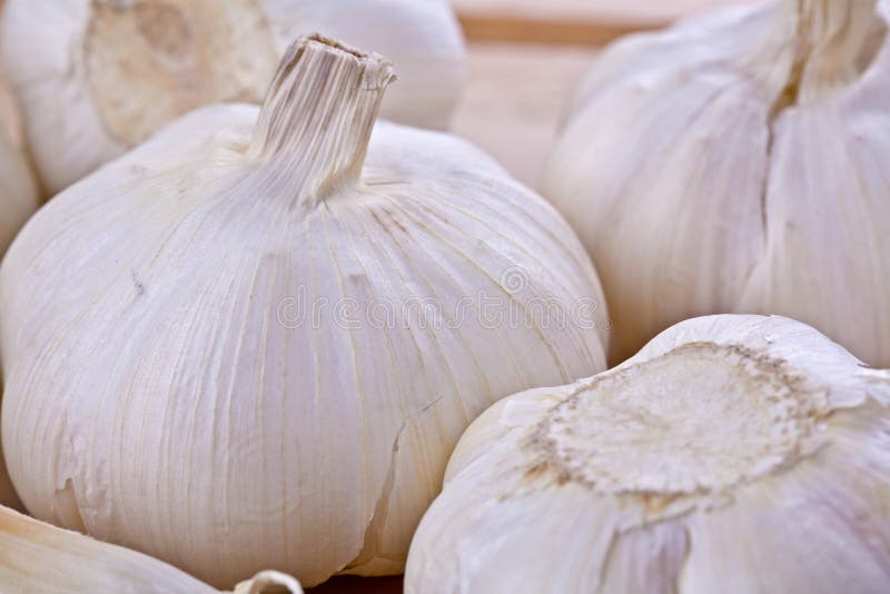 Alho foto de stock. Imagem de molho, alimento, gosto, raiz - 4383470