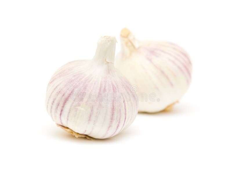 Alho branco e roxo foto de stock. Imagem de alimento - 15857120