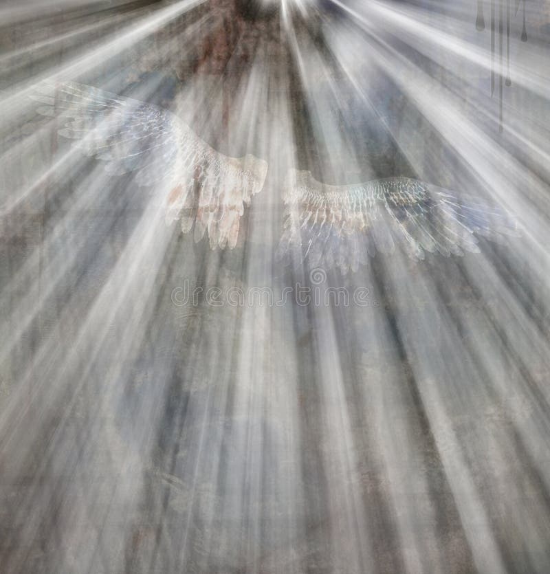 Ali angeli e luce illustrazione di stock. Illustrazione di libertà ...