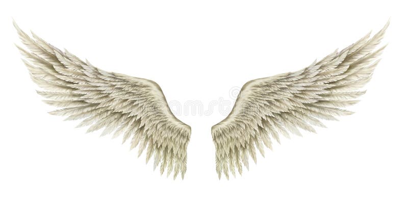 Ali dell'angelo illustrazione di stock. Illustrazione di animale ...
