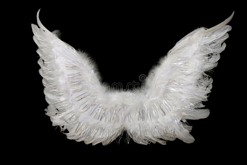 Ali dell'angelo fotografia stock. Immagine di isolato - 8505472