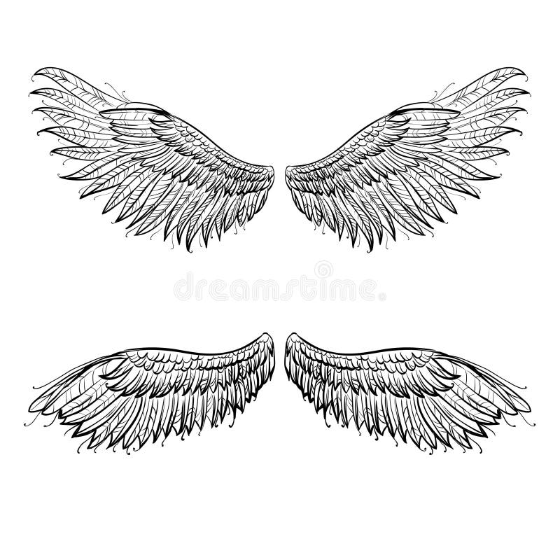 Ali Di Angelo, Illustrazione Di Vettore Illustrazione Vettoriale ...