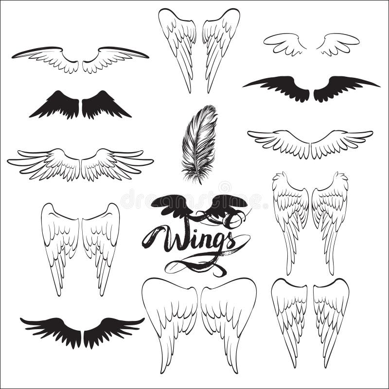 Ali Di Angelo, Iscrizione, Disegno Illustrazione di Stock ...