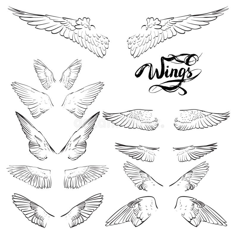 Disegno Vettoriale Della Struttura Delle Ali D’angolo Illustrazione ...