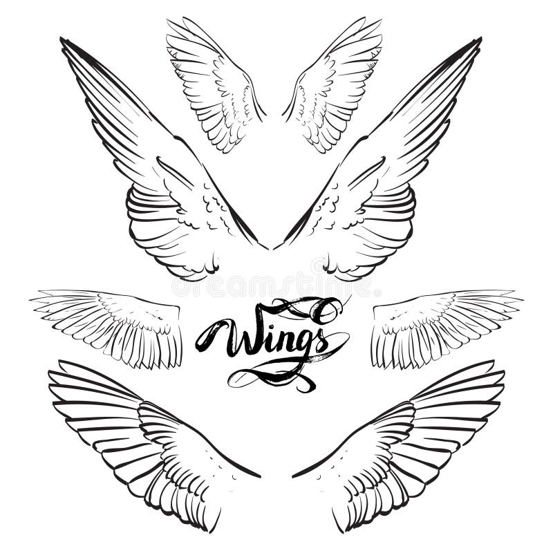 Illustrazione Di Vettore Delle Ali Nell'iscrizione Illustrazione di ...