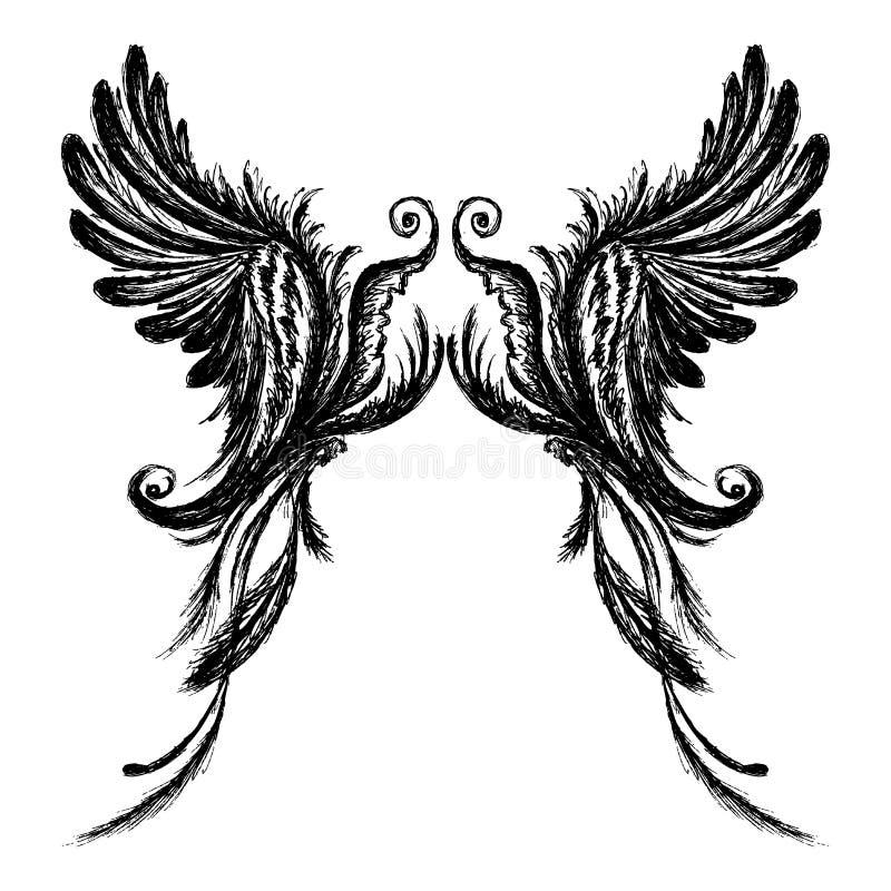 Ali Isolate Su Fondo Bianco, Disegno Della Mano Illustrazione ...