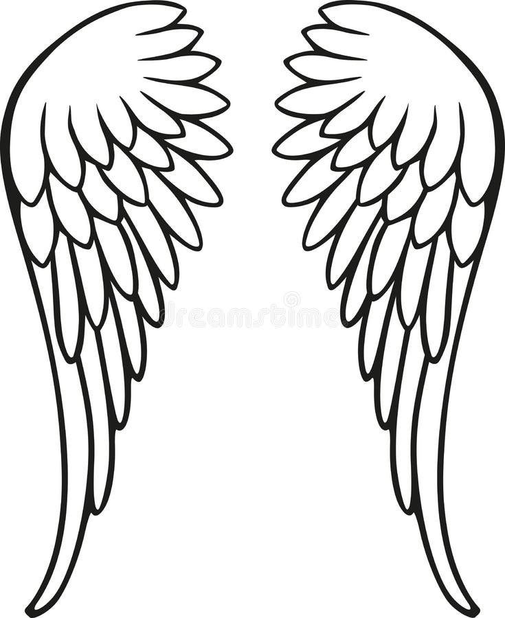 Sketch Delle Ali D'angelo. Ali Diverse Disegnate a Mano Con Piume ...