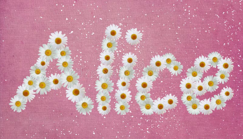 Alice Name Card with Lovely Pink Roses. Vector Illustration. Stock ...