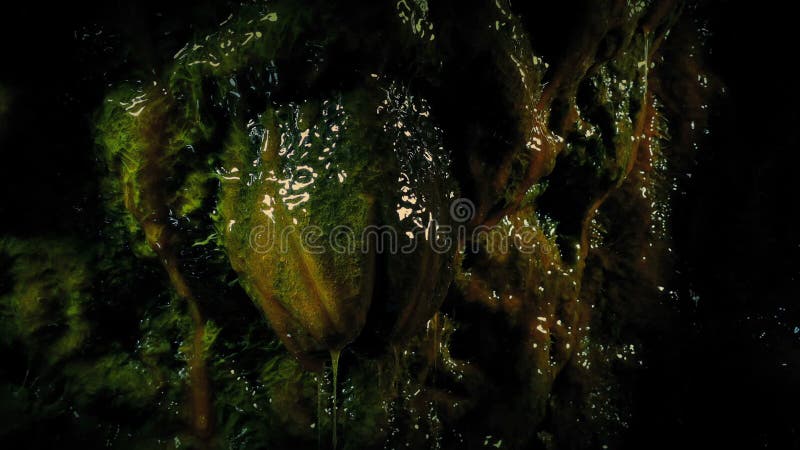 Slime Dripping Alien Egg Hanging Off Wall Stock Footage - Video of ...