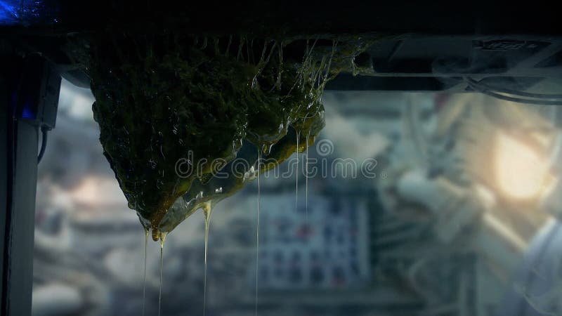 Alien Egg Sack on Ceiling of Spaceship Stock Video - Video of hatchling ...