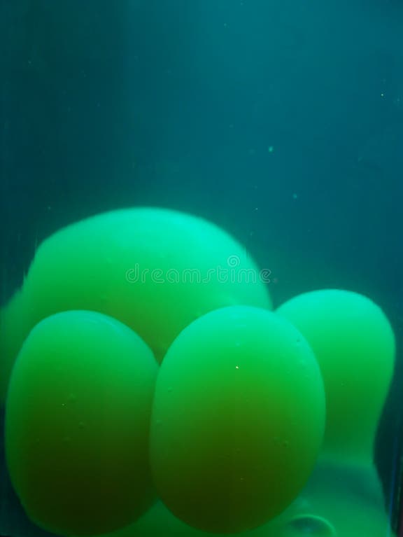 Alien eggs stock photo. Image of sparkly, color, texture - 4378278