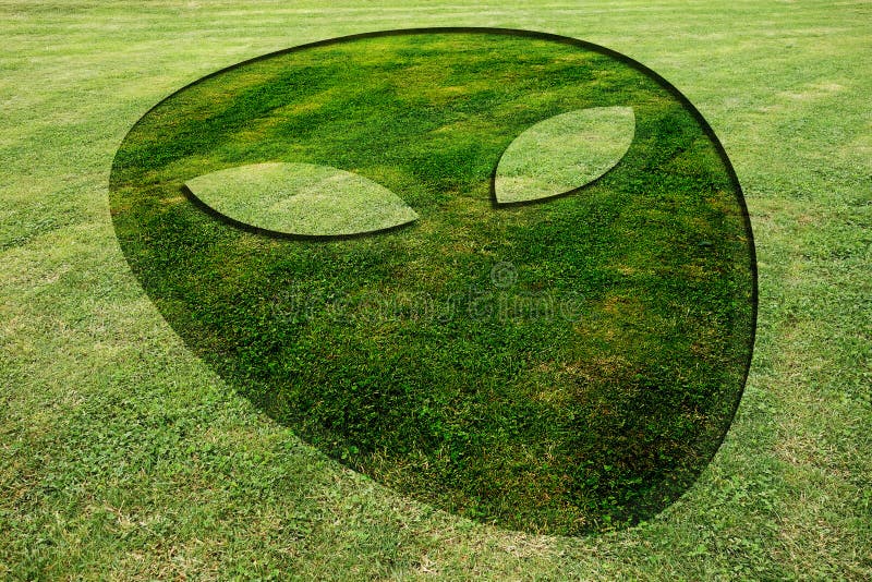 Alien Face Crop Circle